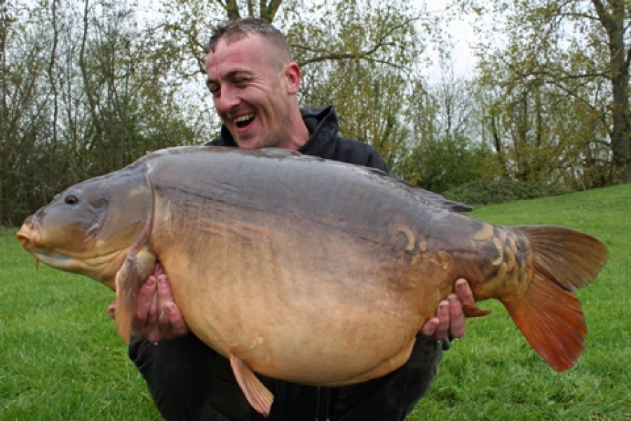 Linear Keeps Giving | Total Carp