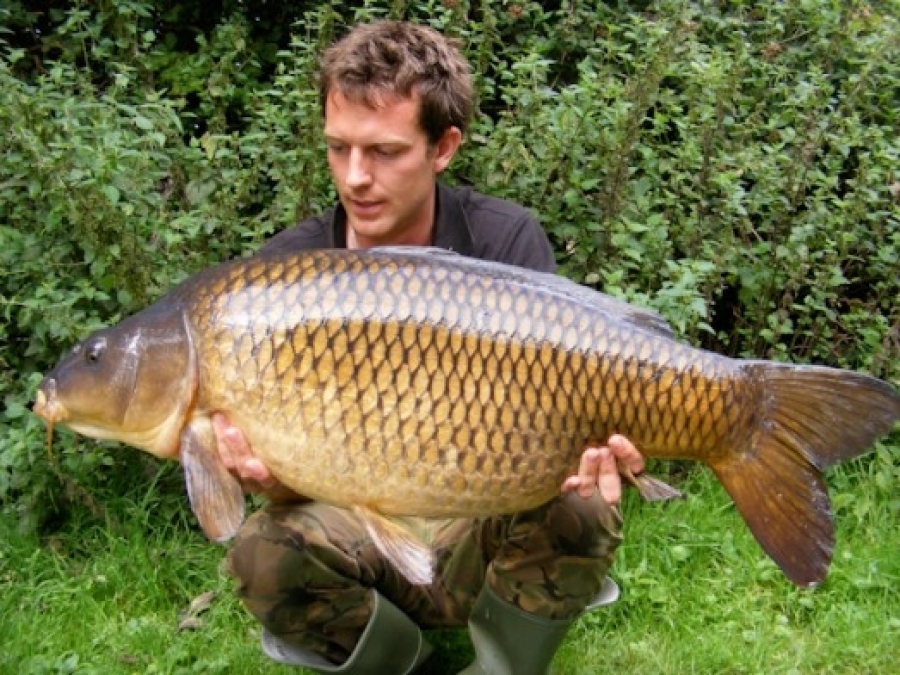 Seeds Of Success | Total Carp