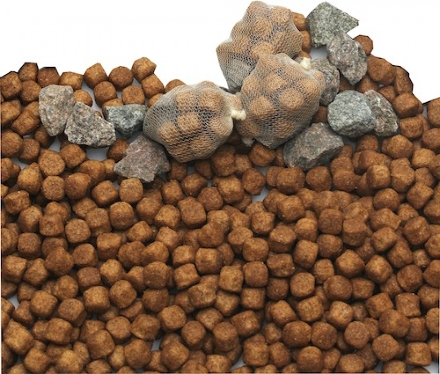 Tip Of The Month | Total Carp