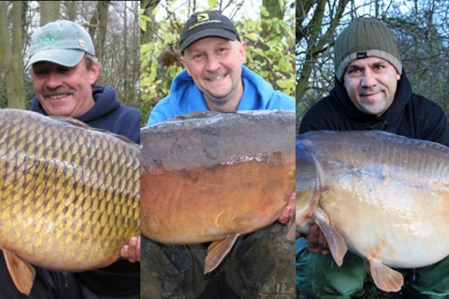 Xmas Carping Stars | Total Carp