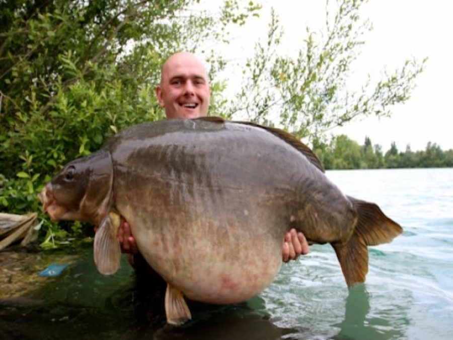 Gigantica Yields Monster | Total Carp
